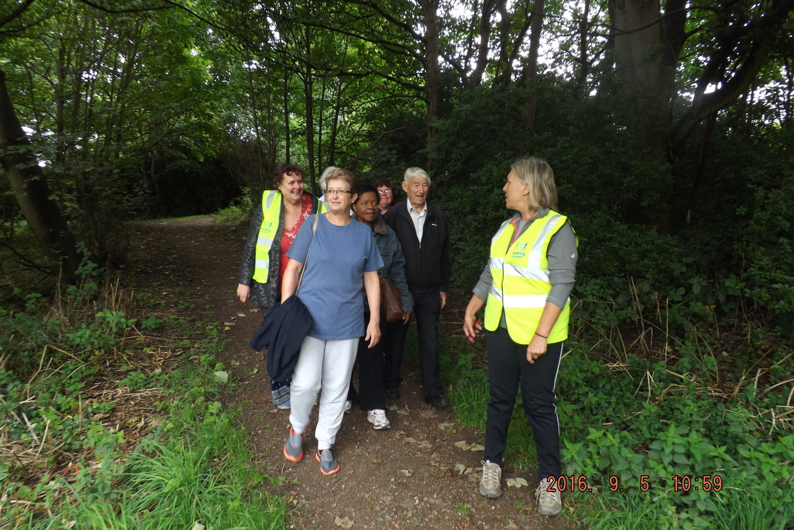 Firth Park Walk - Step Out Sheffield